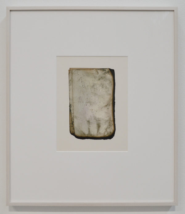 Angela Grauerholz :Olga Korper Gallery